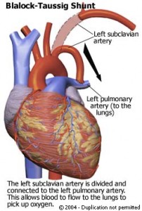 2. Istilah Medik | Naqib.net